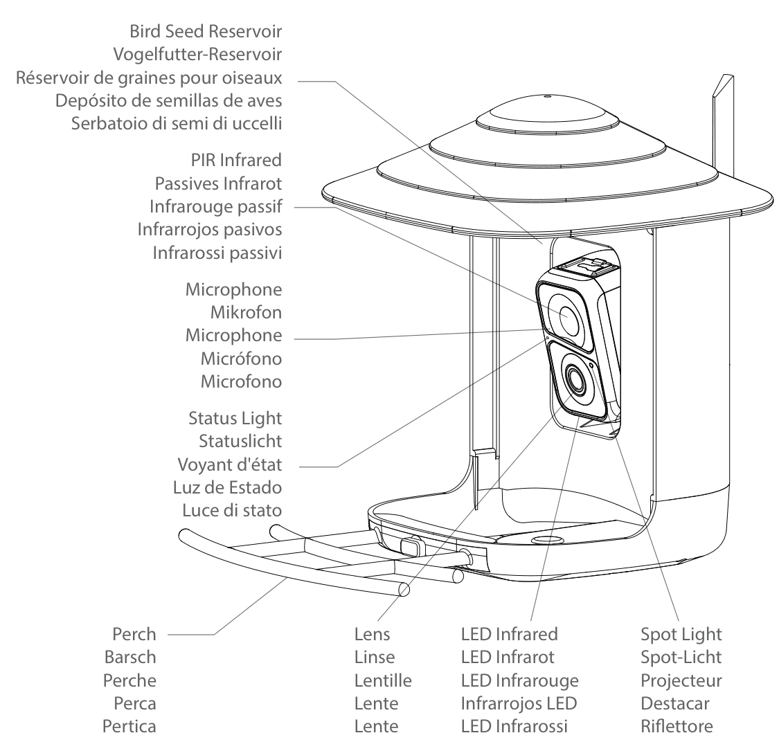 AI Bird Feeder Quick Guide - VicoHome