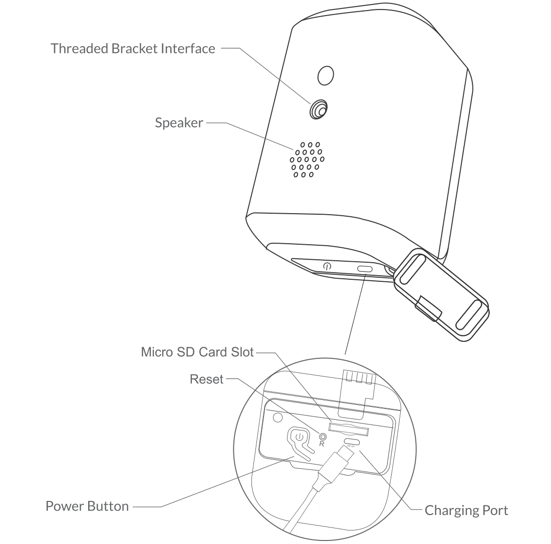 AI Bird Feeder Quick Guide - VicoHome